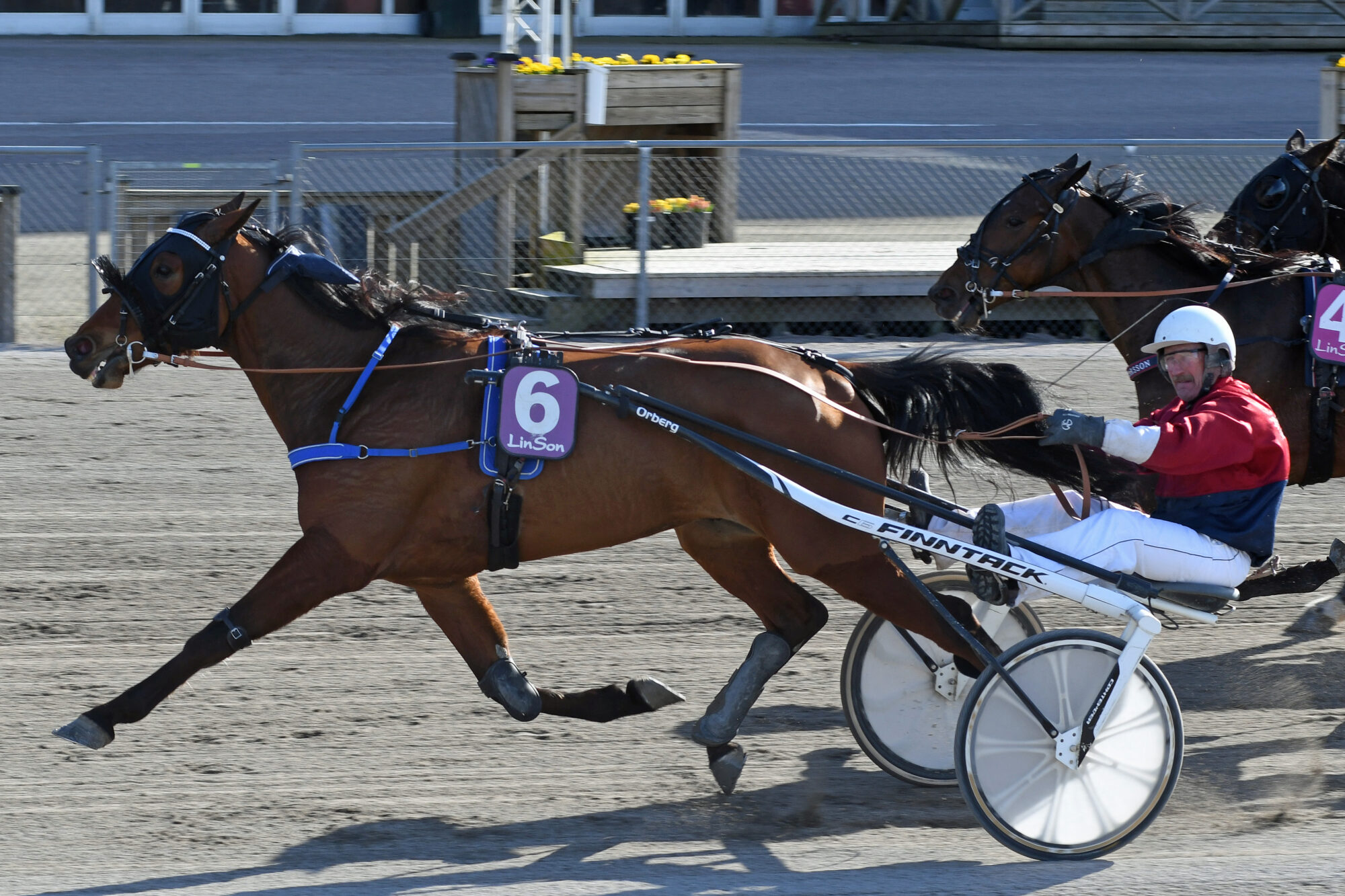 Gratis V86 tips varje onsdag | Heta travtips inför V86