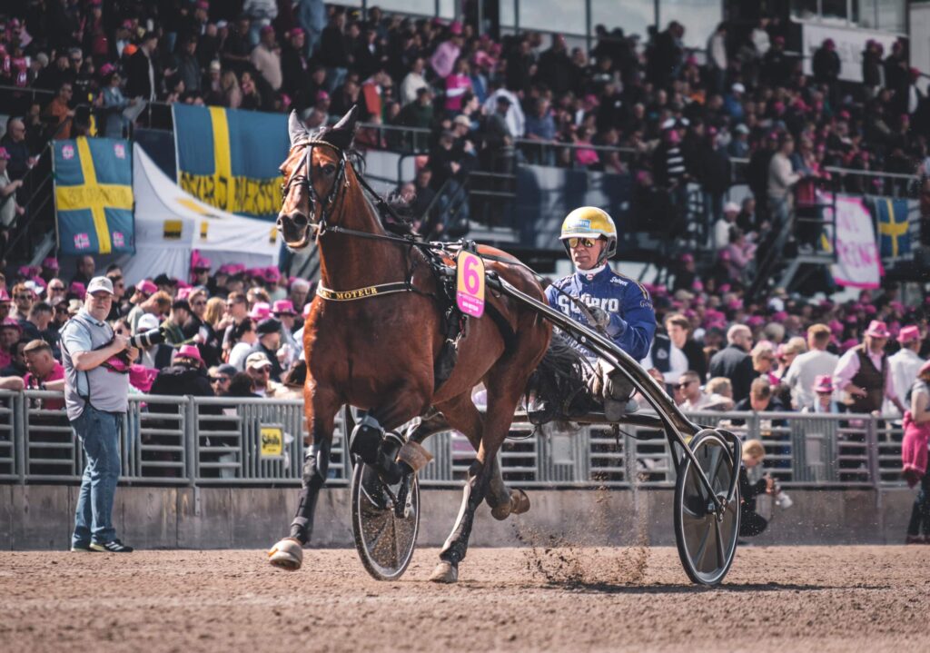 V75 Åby 10/2 - Jackpot - TravTillsammans.se
