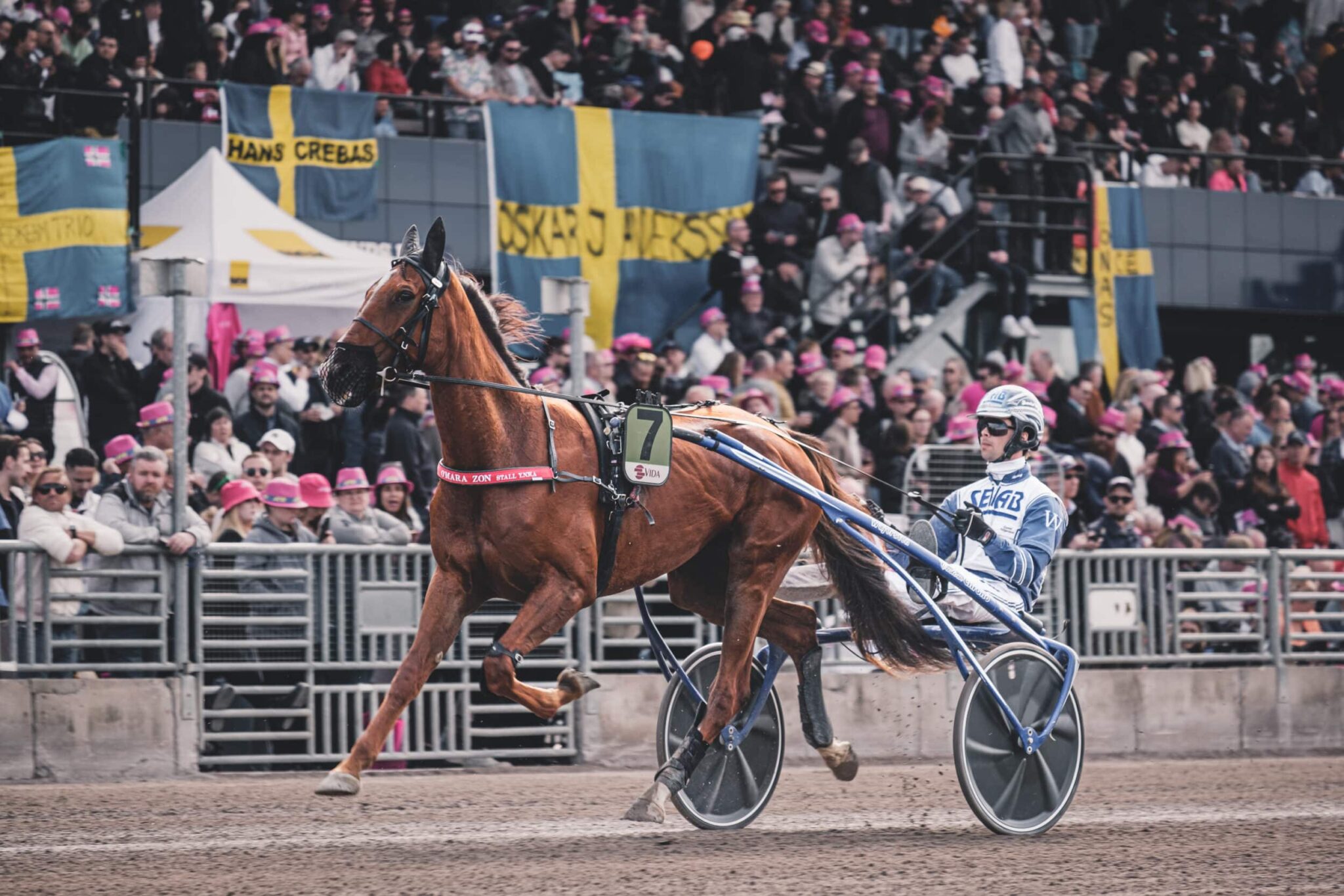 Gratis V86 tips varje onsdag | Heta travtips inför V86