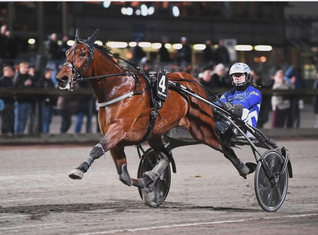 Gratis Travtips till V75 varje vecka | Trav Tillsammans